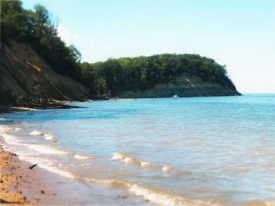 Calvert Cliffs Day-Trip with Local Paleontologist - Transformative Travel